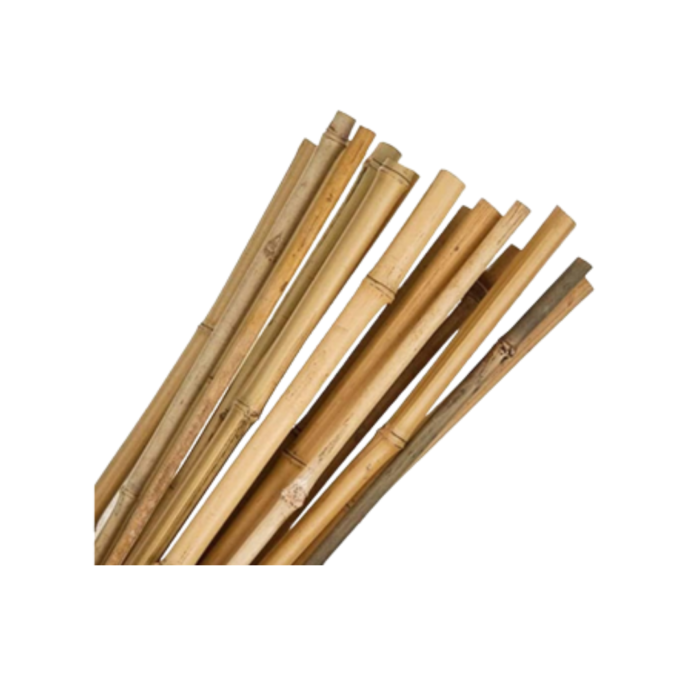 Plant Support Bamboo Stakes 300 cm × 24–26 mm – Garden support sticks ...